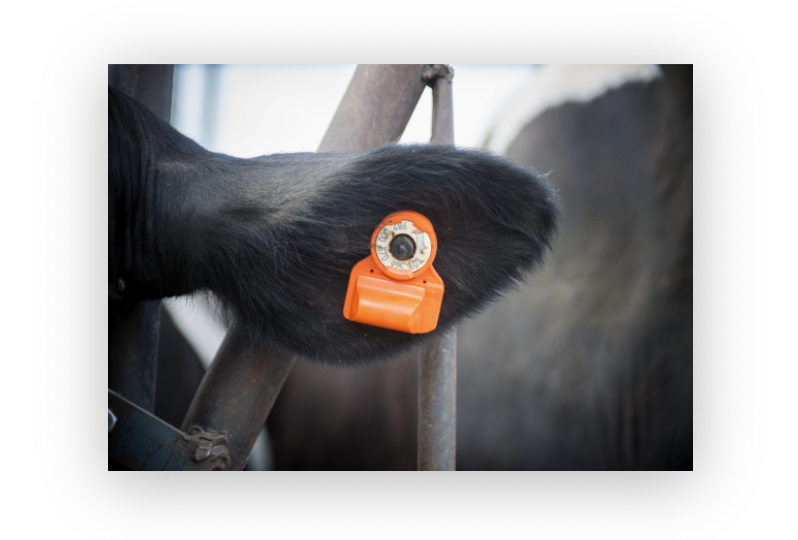 CowManager - Premier Select Sires