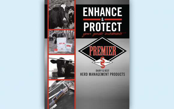 Premier Select Sires | Successful Cattle Reproductive Solutions